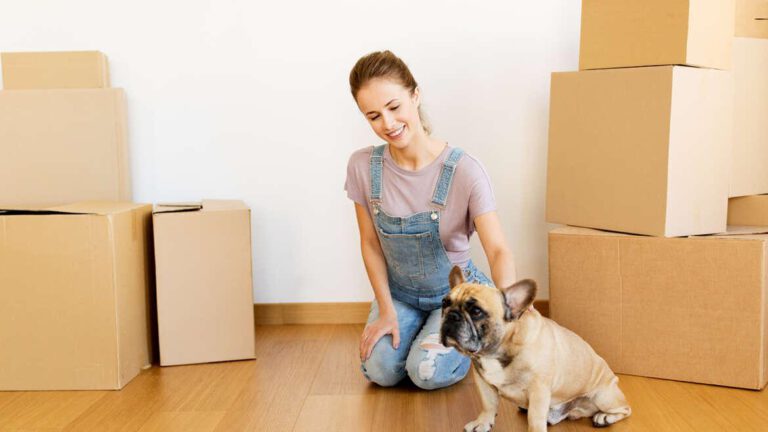 The Best Way to Move with Dogs and Cats- TrekMovers
